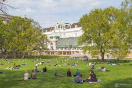 Vienna: 20 Best Things to Do in the Summer | TAD
