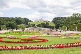 Vienna: 20 Best Things to Do in the Summer | TAD