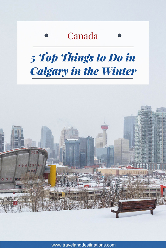 5 Top Things to Do in Calgary in the Winter | TAD