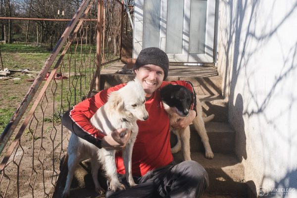 Helen's House of Hope - Dog Sanctuary | TAD