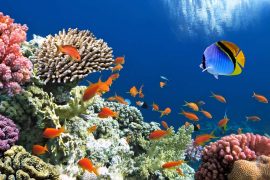 10 Incredible Places to Visit in Egypt | TAD