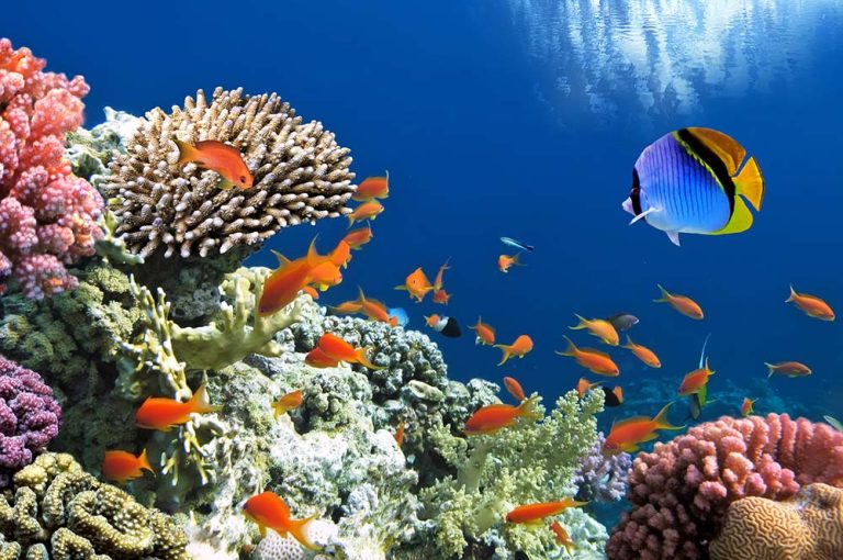 10 Incredible Places to Visit in Egypt | TAD
