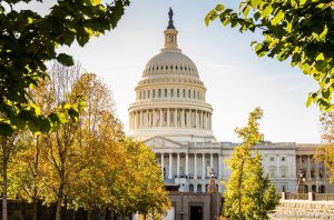 11 Best Cities to Visit in the USA | TAD