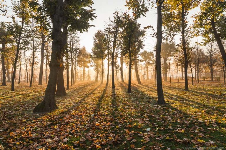 10 Top Tips to Improve Your Autumn Photography | TAD