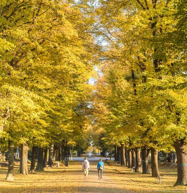 10 Top Tips to Improve Your Autumn Photography | TAD