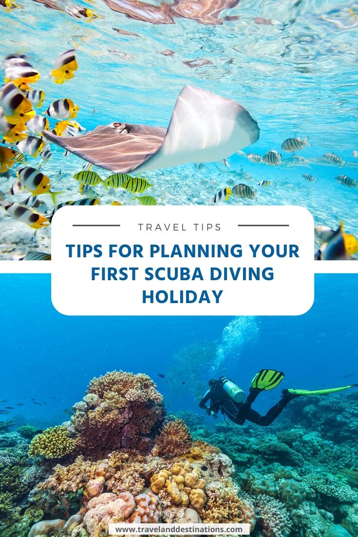 Tips for Planning Your First Scuba Diving Holiday | TAD