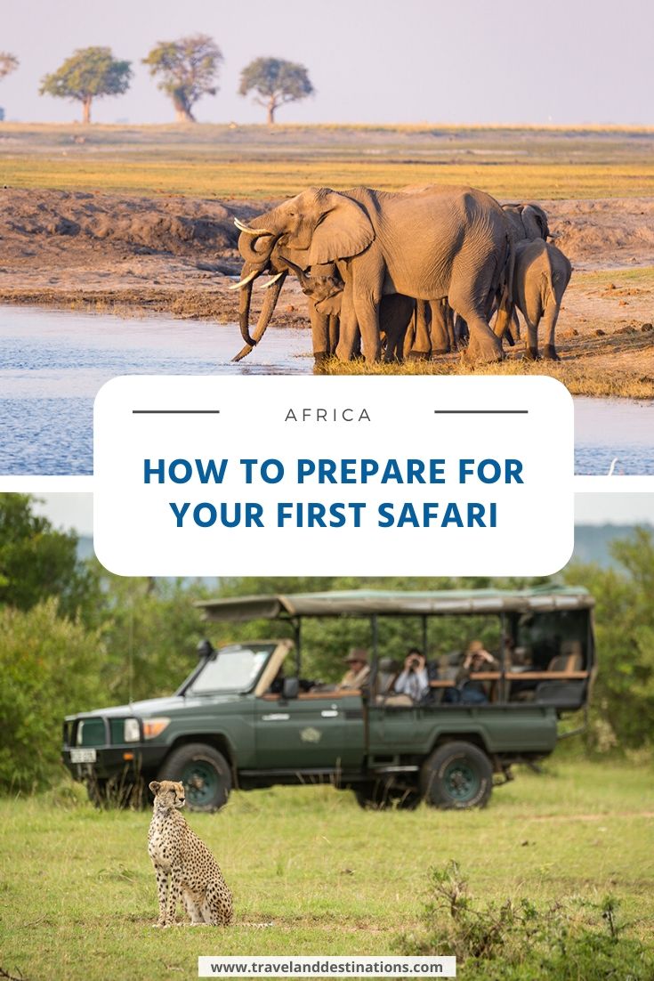 How to Prepare for Your First Safari | TAD