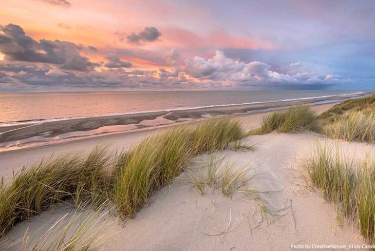Top Instagram and Photography Spots in Amsterdam