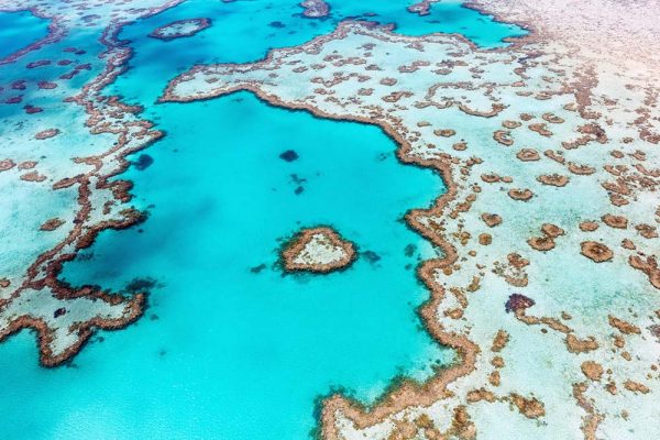 A Travel Guide for Visiting the Great Barrier Reef in Australia | TAD
