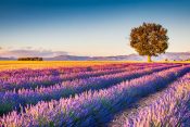 10 Best and Most Beautiful Places to Visit in France | TAD