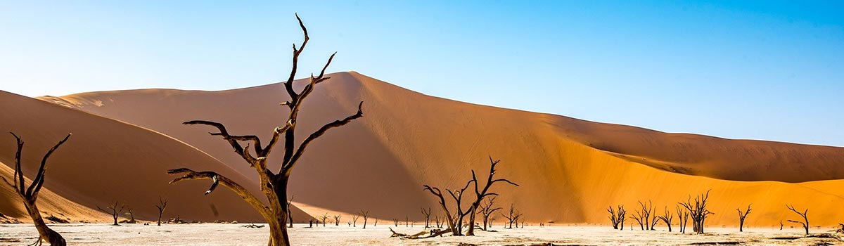 Travel to Namibia - Articles, Hotels & Activities