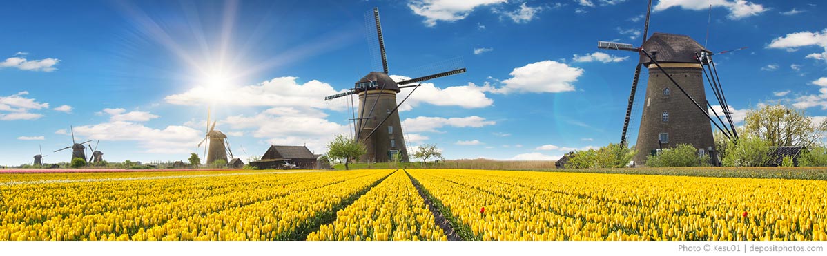 Travel to The Netherlands - Articles, Hotels & Activities